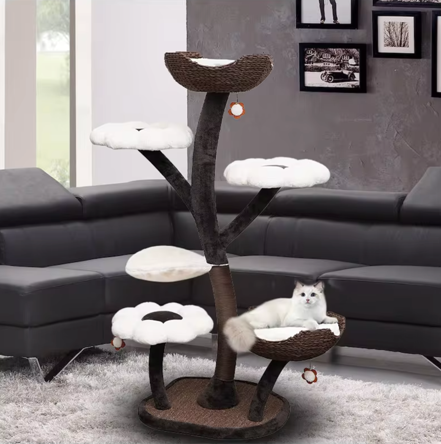 Terra- The Ultimate Cat Haven – Furr & Co.